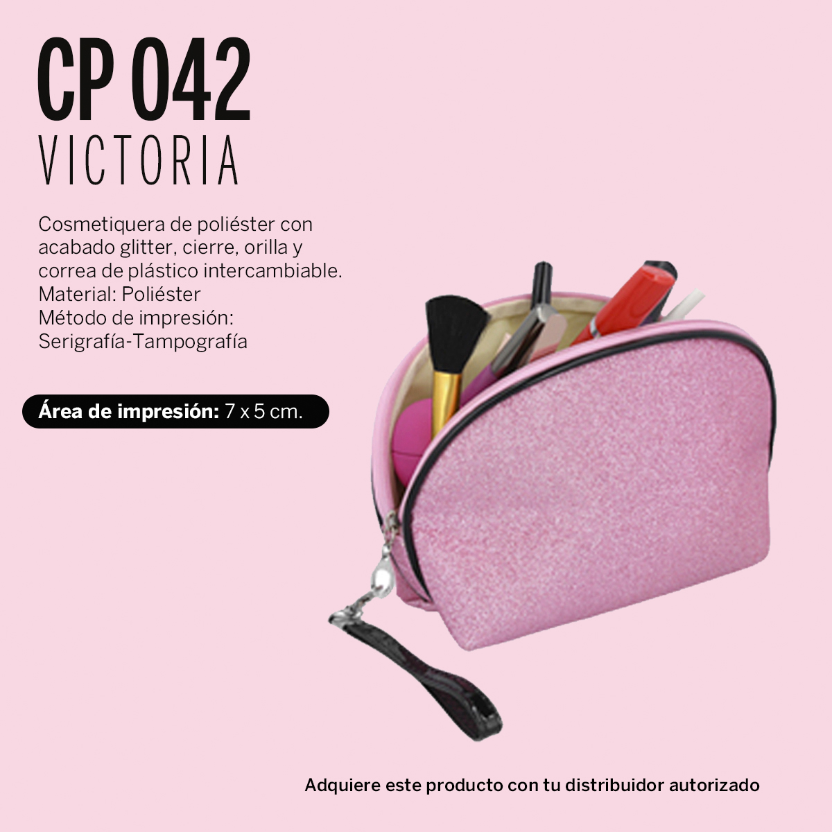 4P - Descargas CP 042
